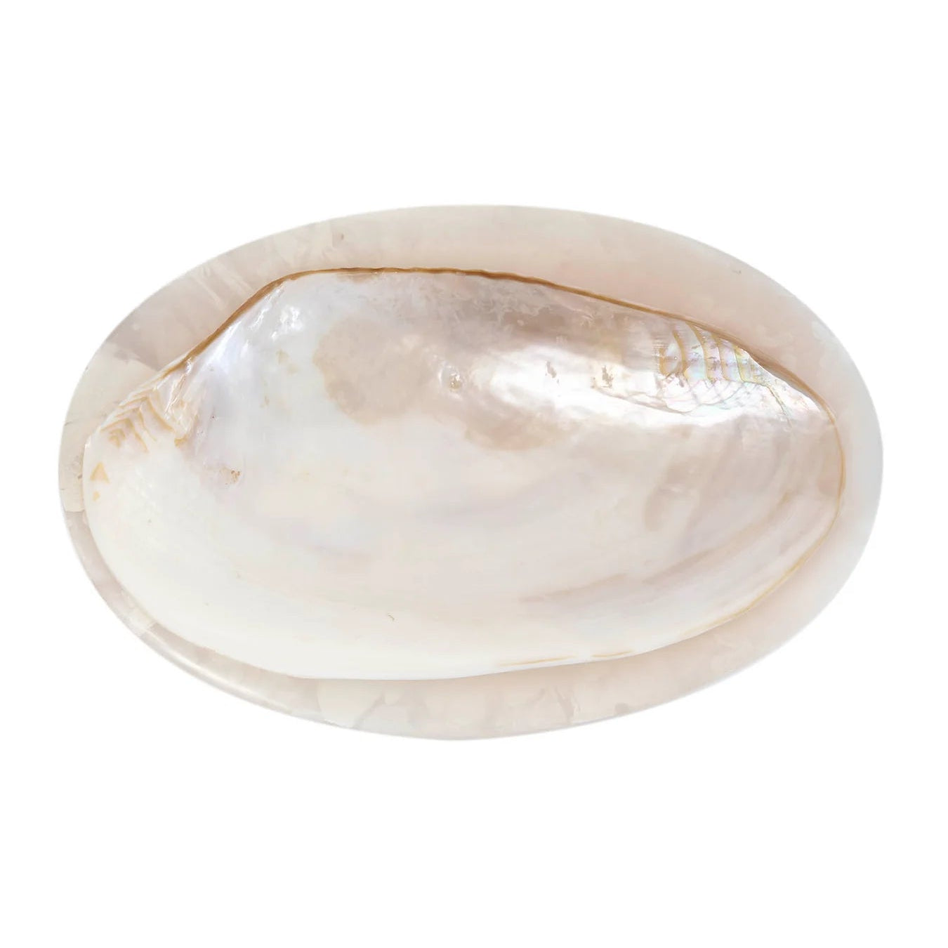 Large Caviar Dish – TWO WEBSTER